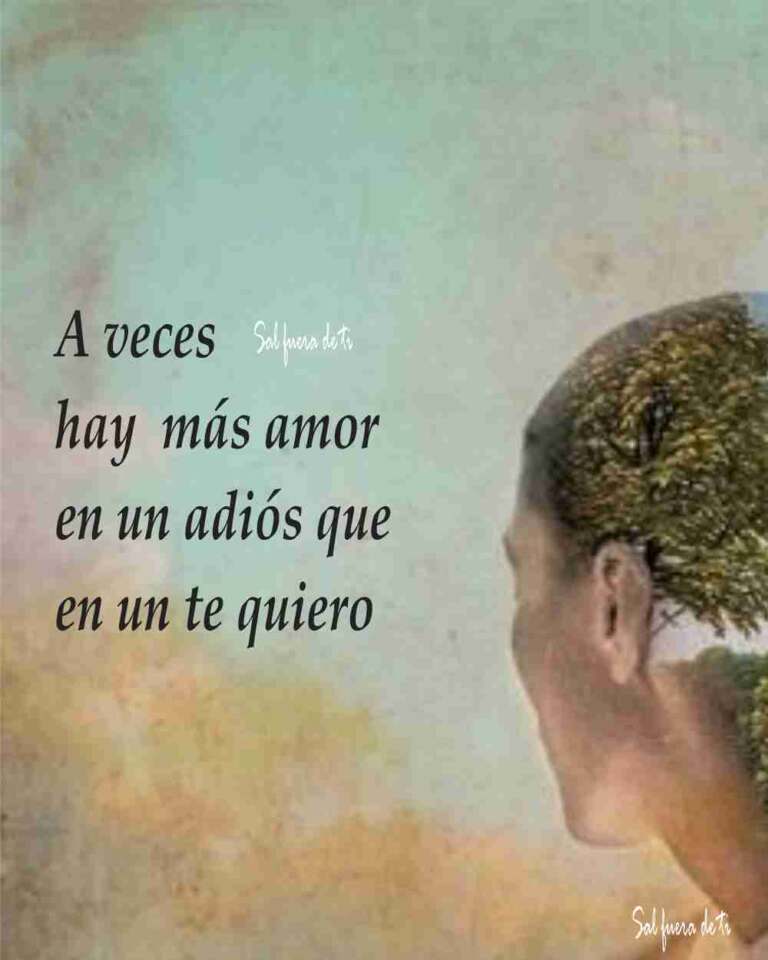 A veces hay mas amor en un adiós que en un te quiero - Salfueradeti.es