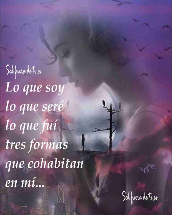 Lo que soy, lo que seré, lo que fuí... - Salfueradeti.es